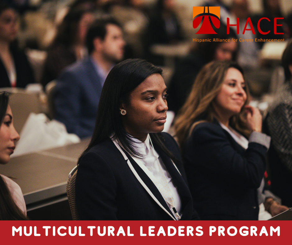 Multicultural Leadership Program
